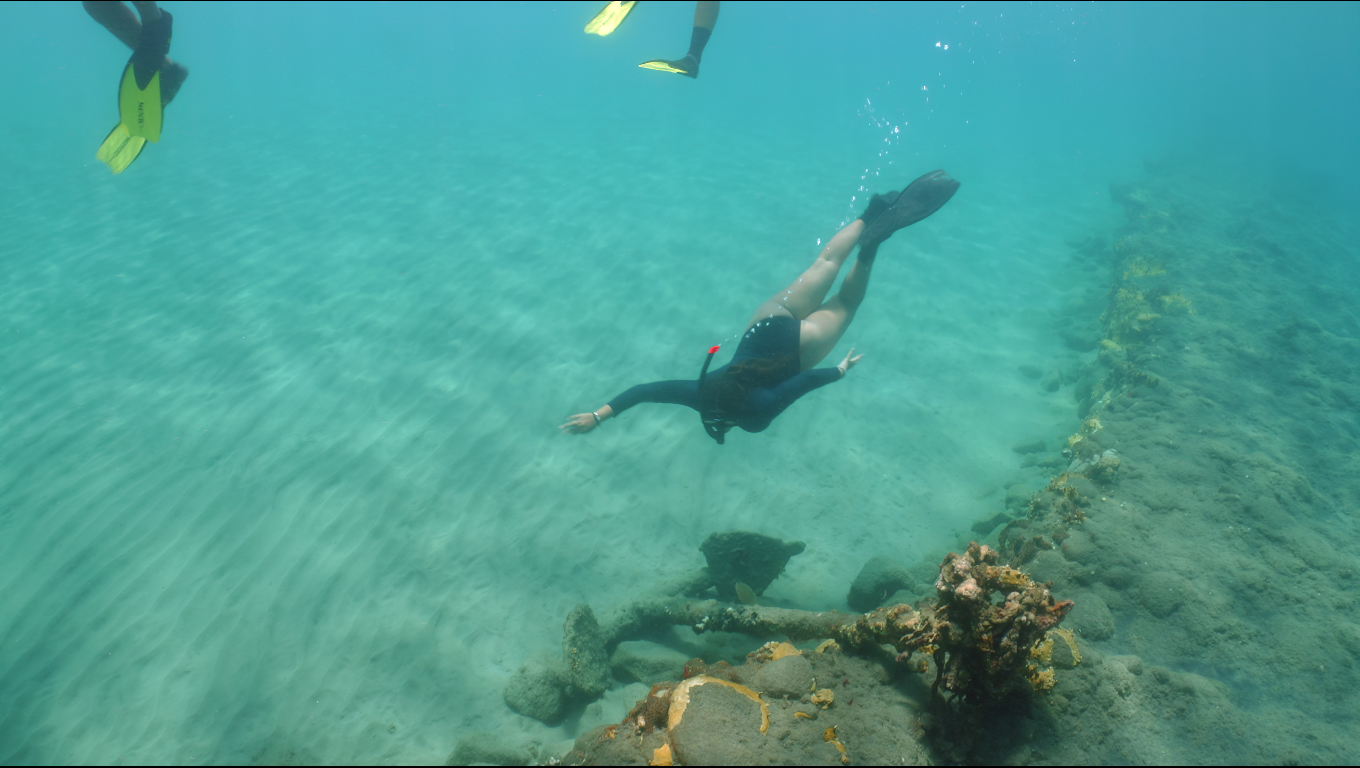 Dive into nature and explore Statia, Caribbean Netherlands - Devocean ...