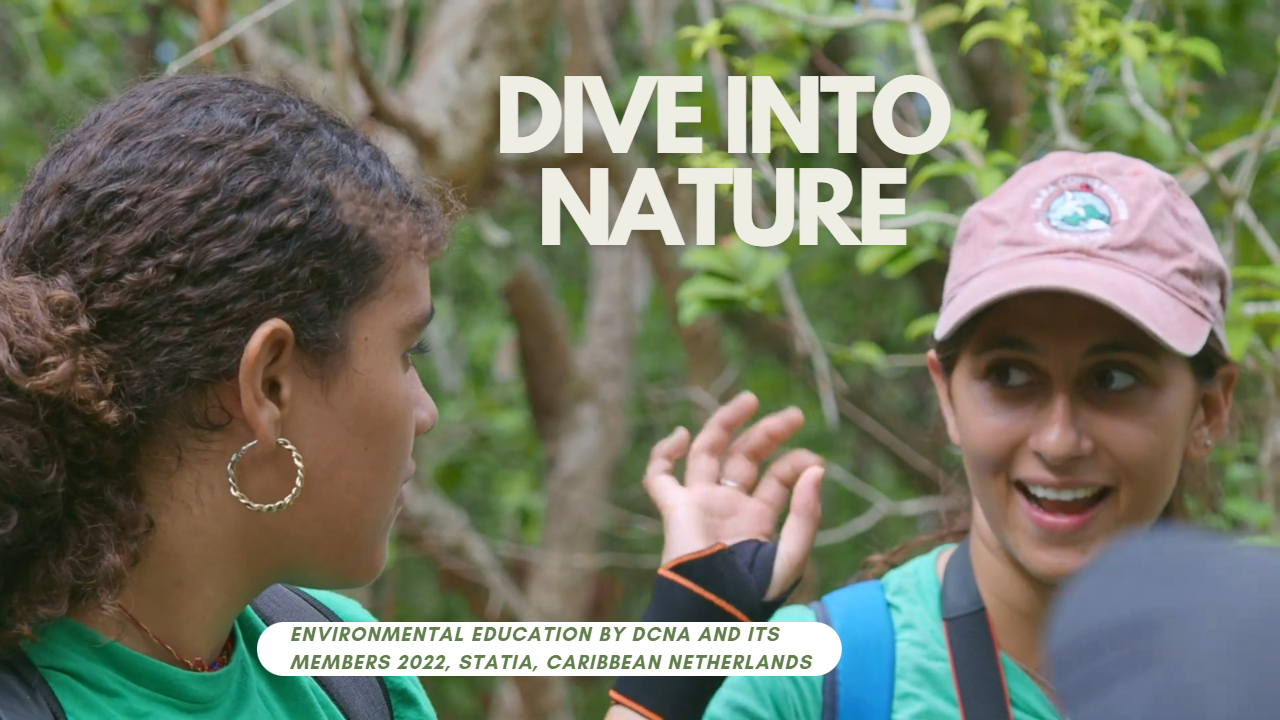 Dive into nature and explore Statia, Caribbean Netherlands - Devocean Pictures