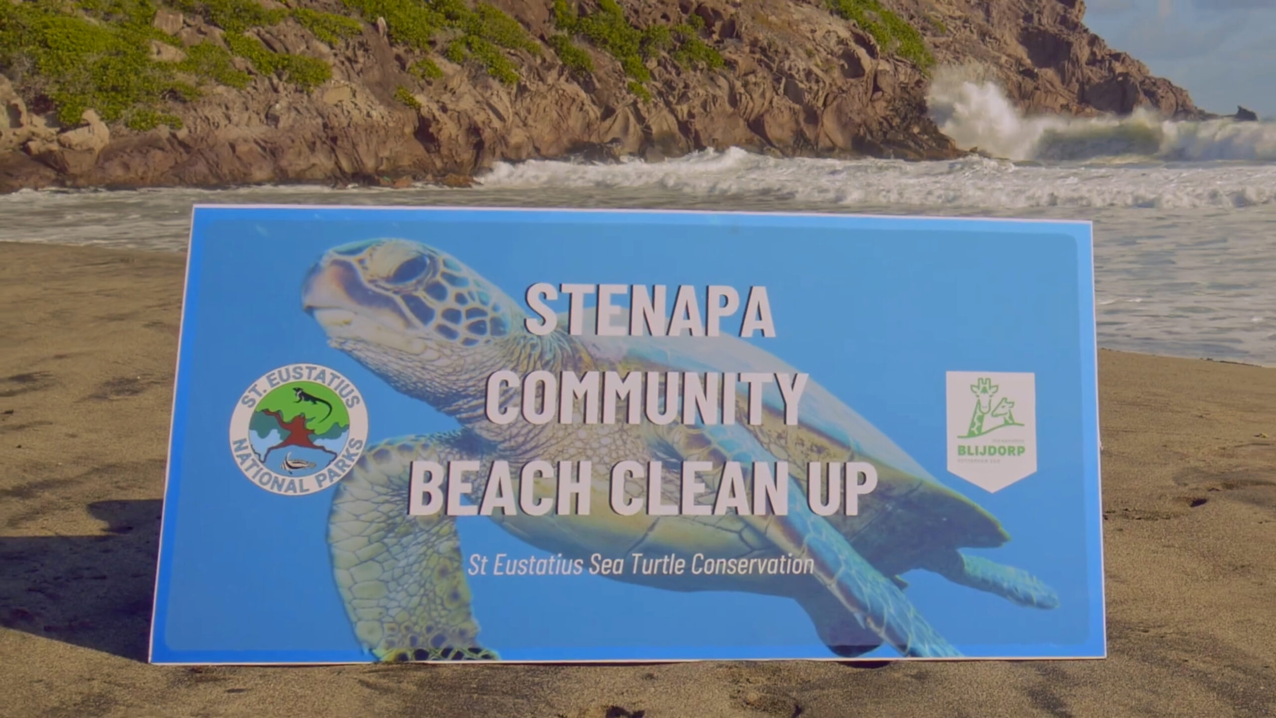Sea turtle conservation, St. Eustatius, Caribbean: Beach clean-up ...